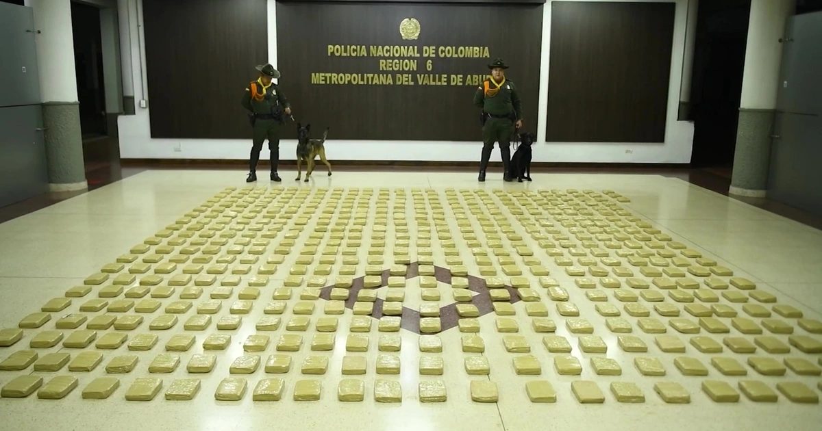 Fueron Incautados 280 Kilos De Marihuana