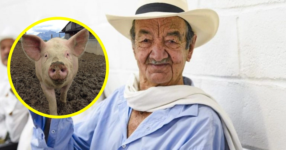 ¿Por qué la palabra “berraco” solo la usamos en Antioquia, y por qué su ...