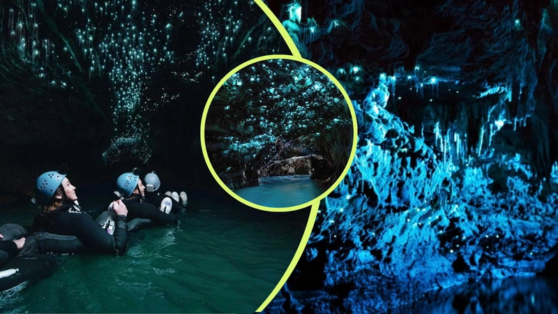 Las cuevas que brillan como un cielo estrellado en pleno día: el ...